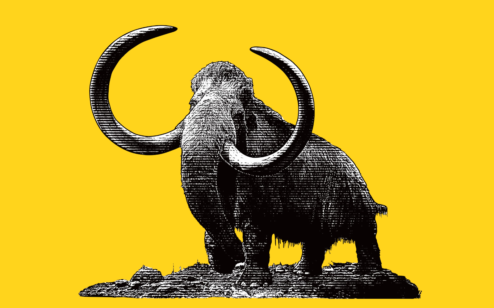 The myth of the mammoth SOA | Advisely